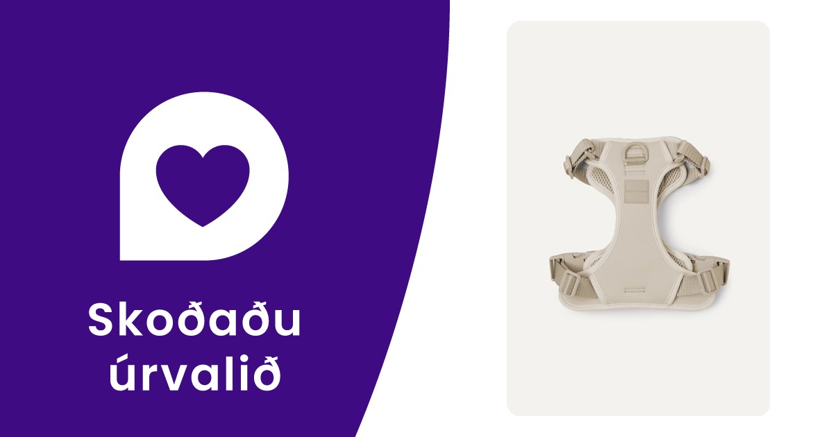 Double Panel beisli - Vöruleit Já.is