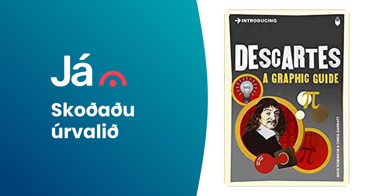 INTRODUCING DESCARTES: A GRAPHIC GUIDE - Vöruleit Já.is